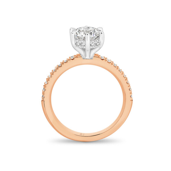 Destiny Round Brilliant Lab Diamond Halo Engagement Ring